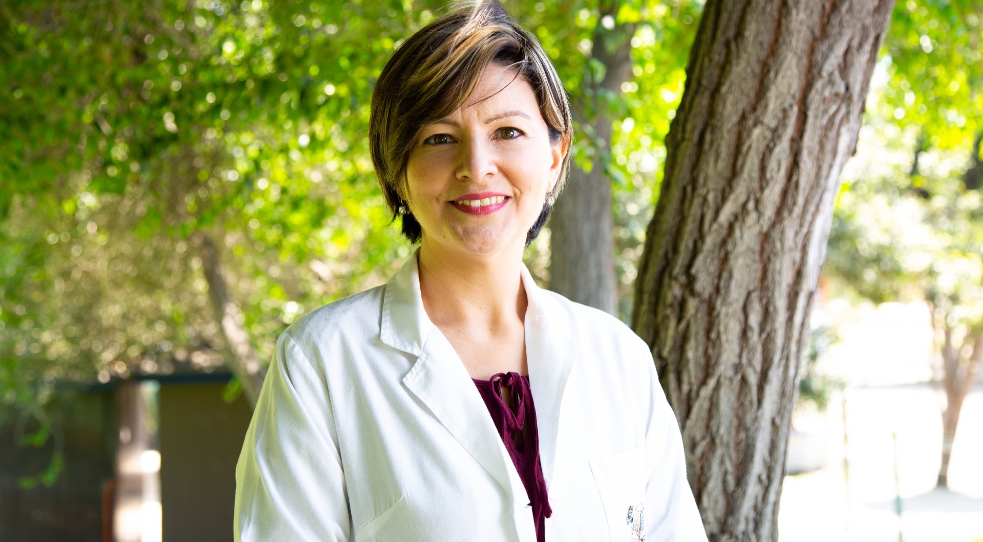 CDC Train Learning Network | Retraining Directory | Careershifters